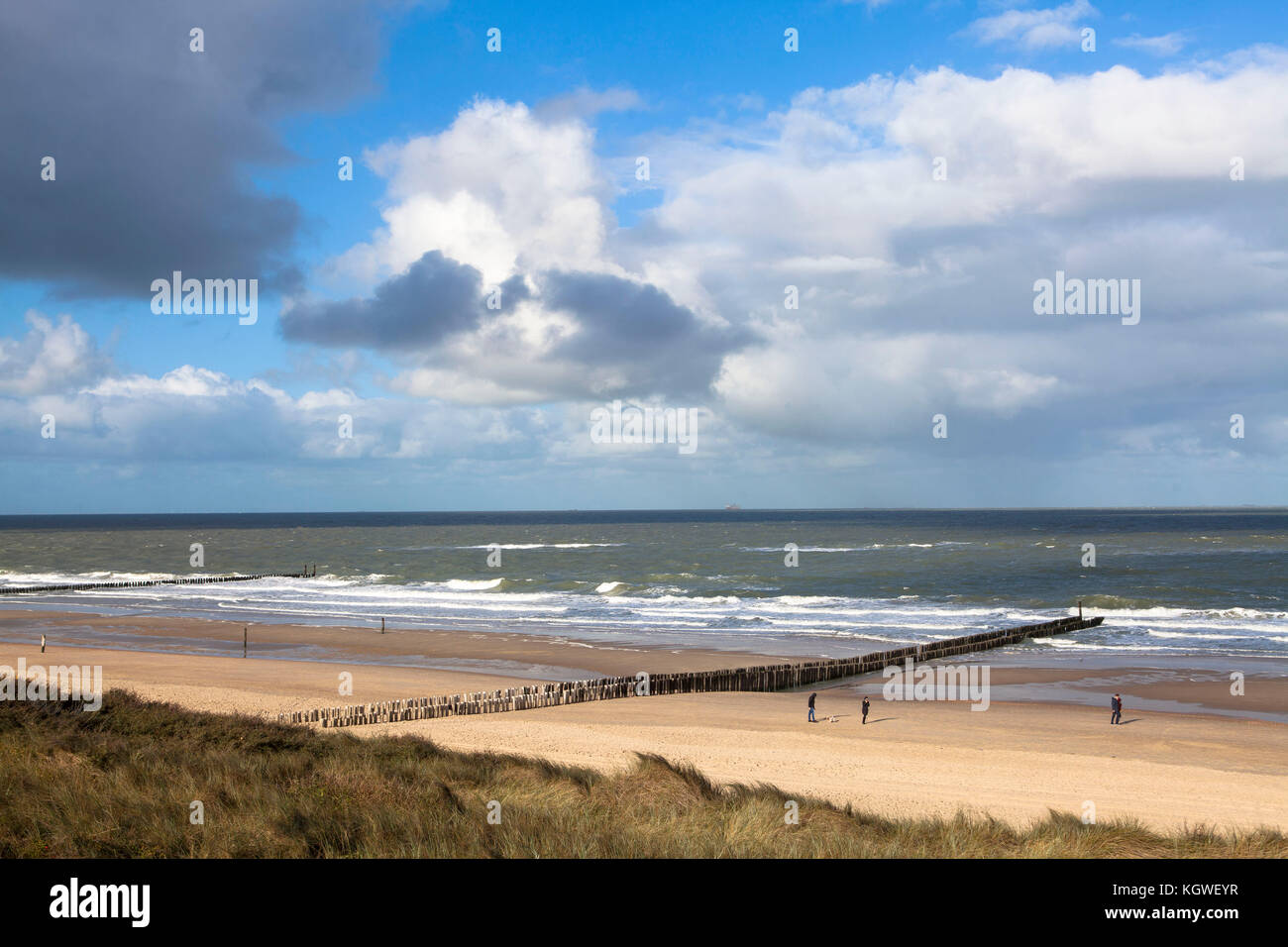 Netherlands, at the beach in Domburg on the peninsula Walcheren, groins ...