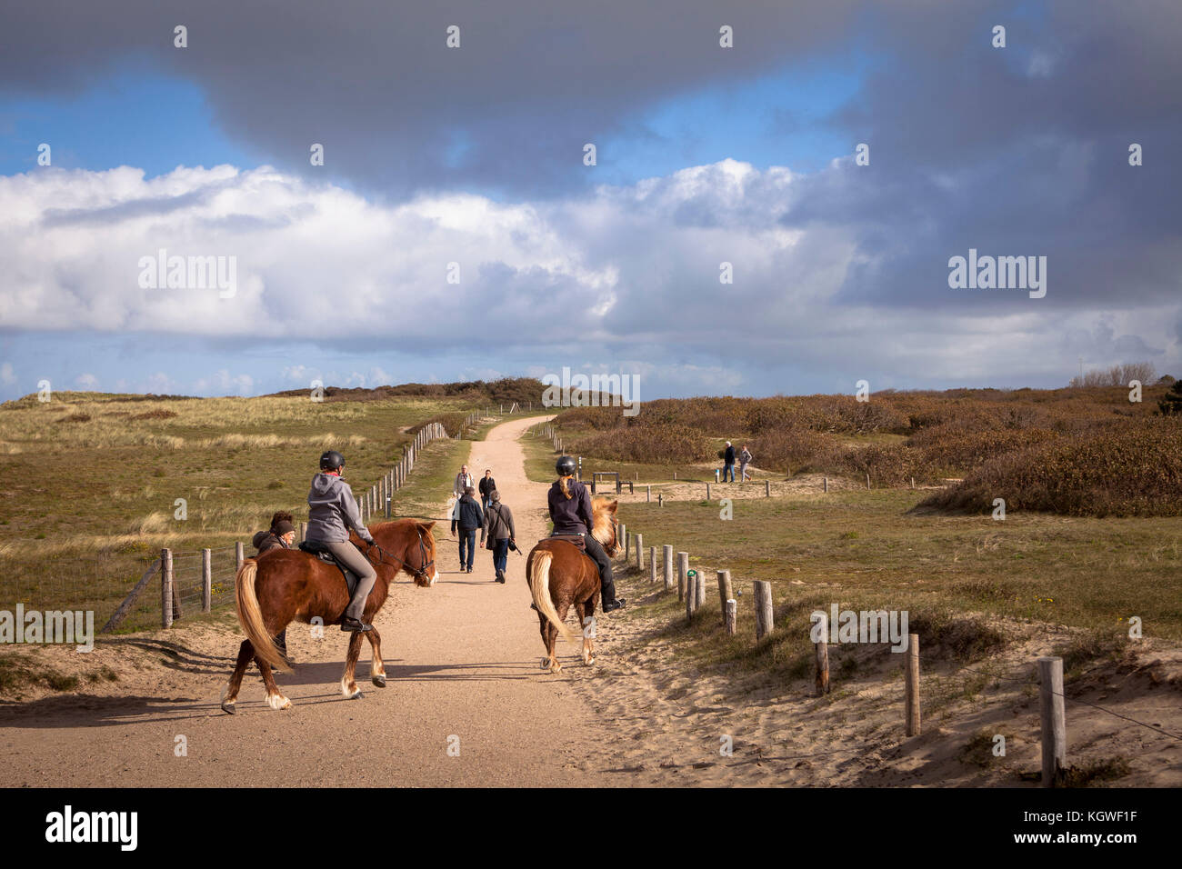 Naturschutzgebiet hi-res stock photography and images - Alamy