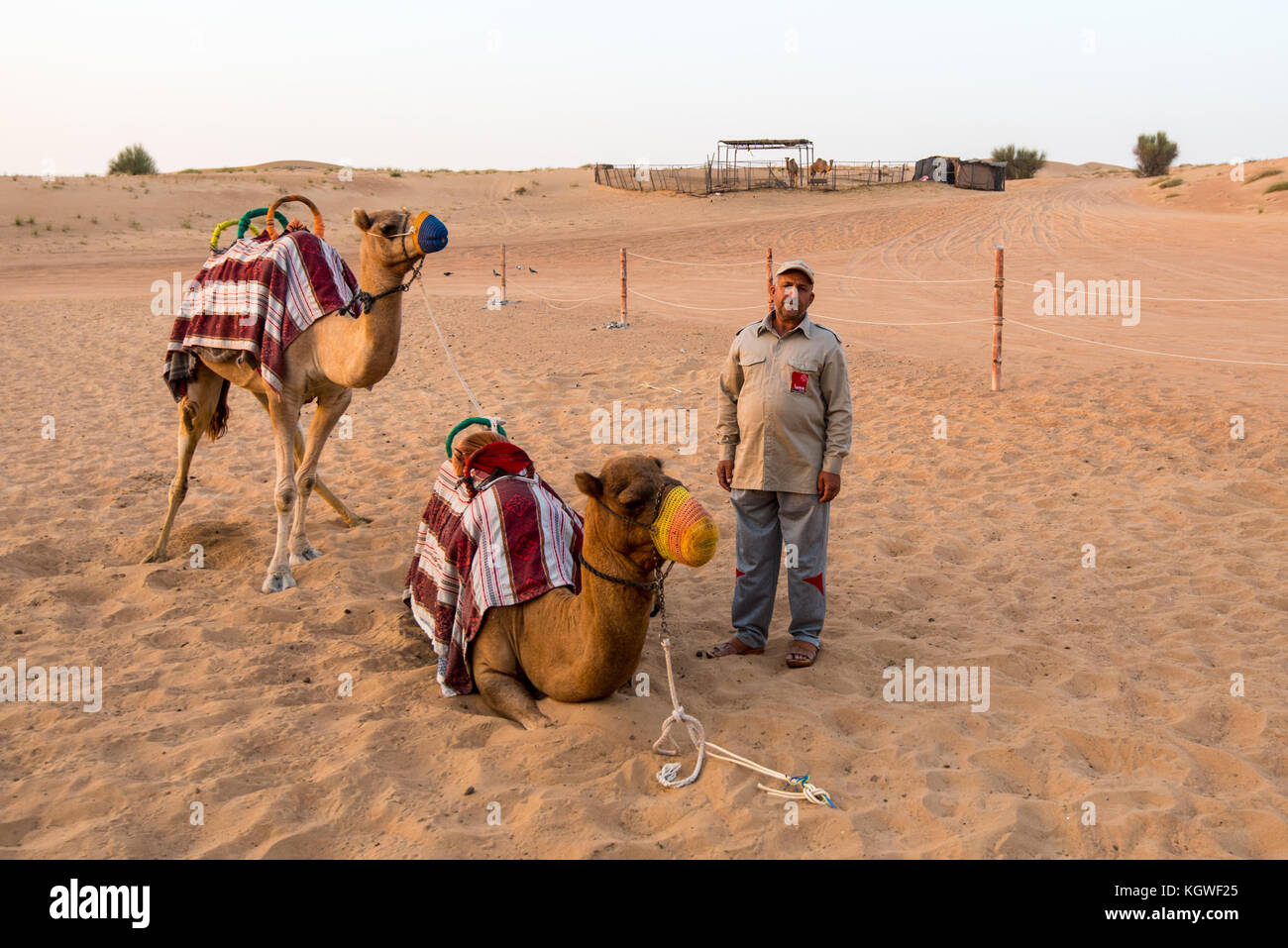 Desert safari dubai camp hi-res stock photography and images - Alamy