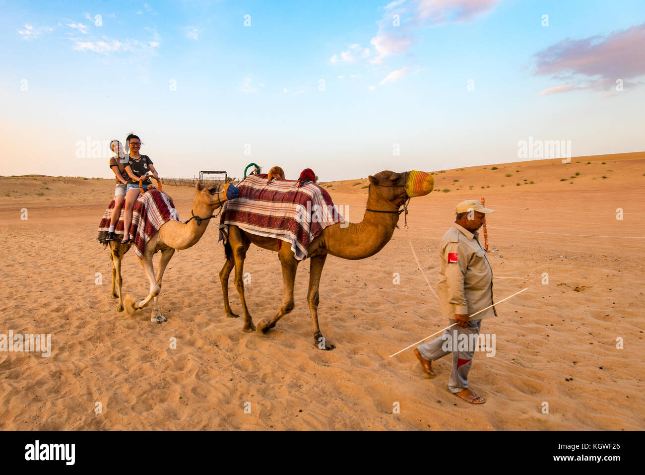 DUBAI, UAE - 30OCT2017: Chinese tourists riding a camel at a Desert ...