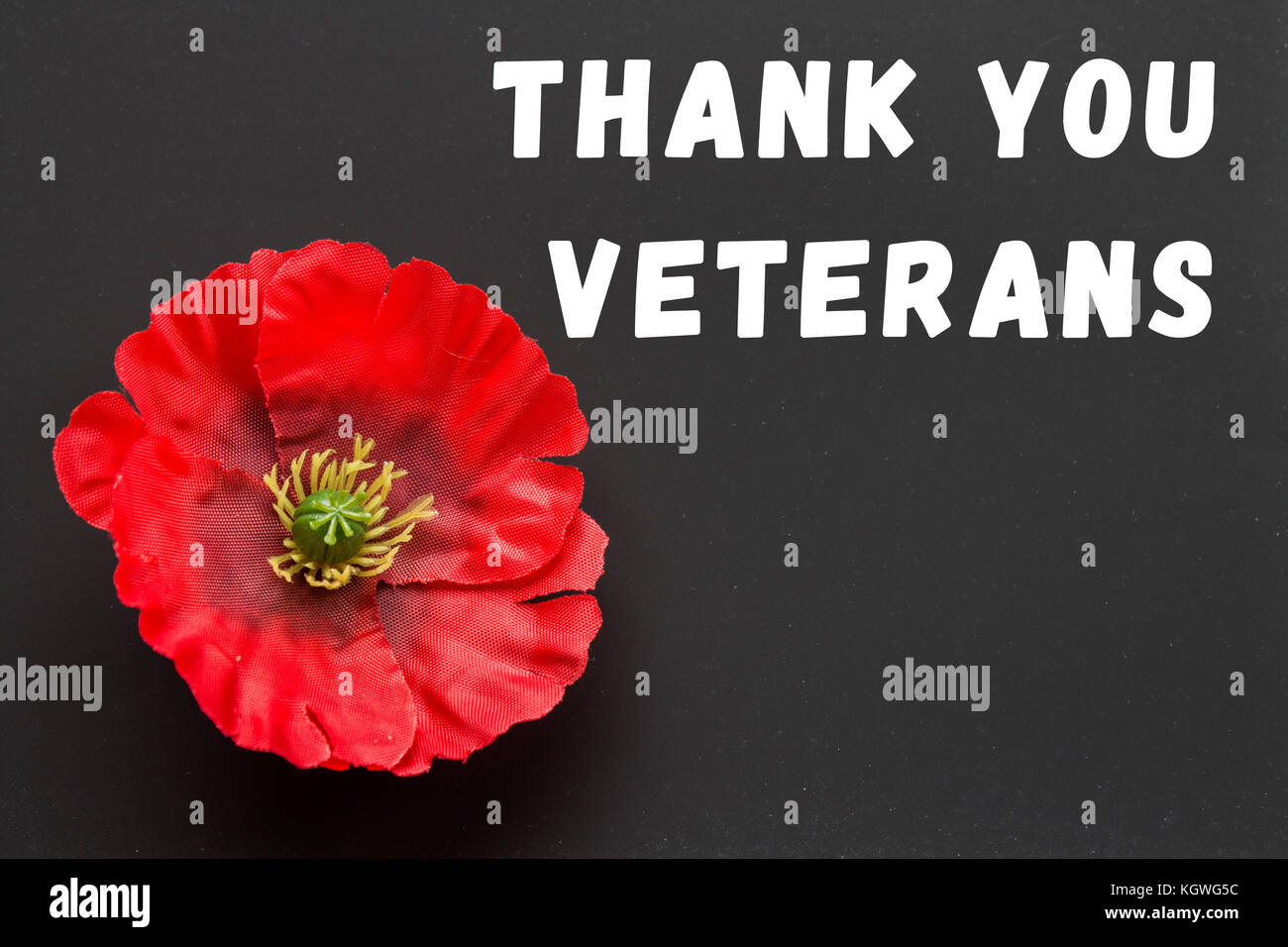 The Text Thank You Veterans Written In A Chalkboard And Red Poppy On A Rustic Wooden Background 