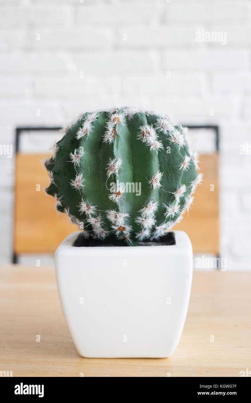 Cactus plant in white pot on table, stock photo Stock Photo - Alamy
