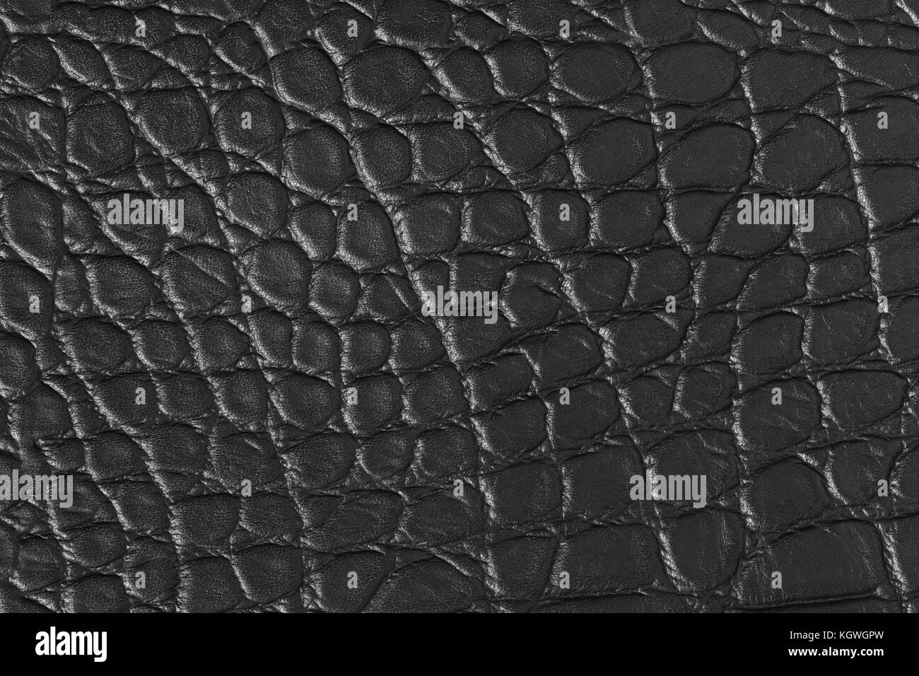 Black Crocodile Texture