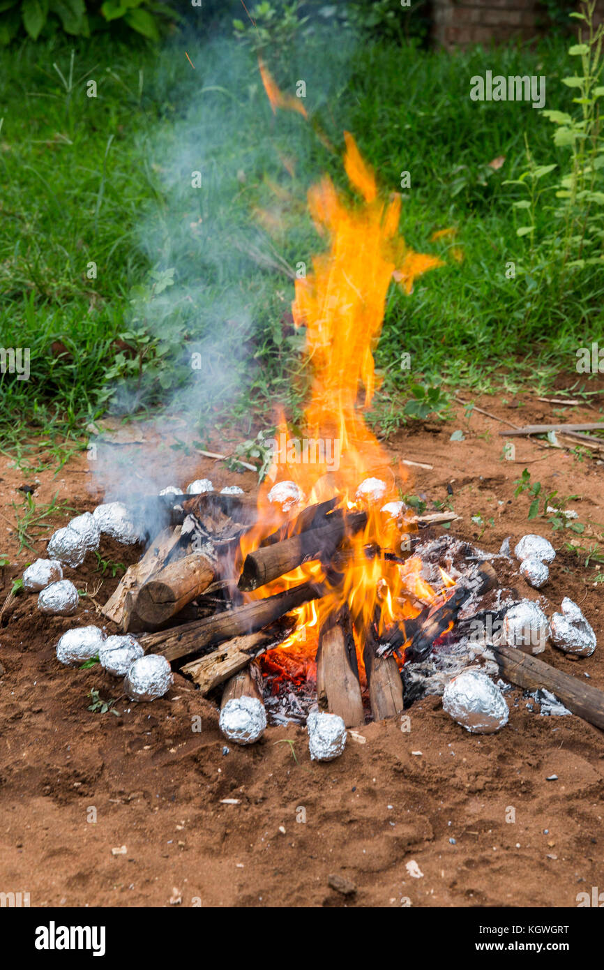 Burning wood in a brazier potatoes in aluminium foil, in the garden ...