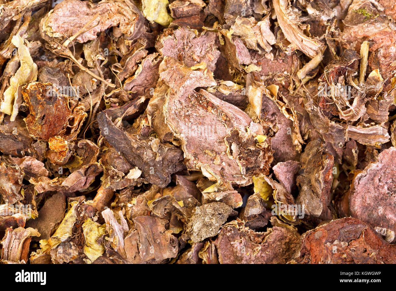 Snowdon rose hi-res stock photography and images - Alamy