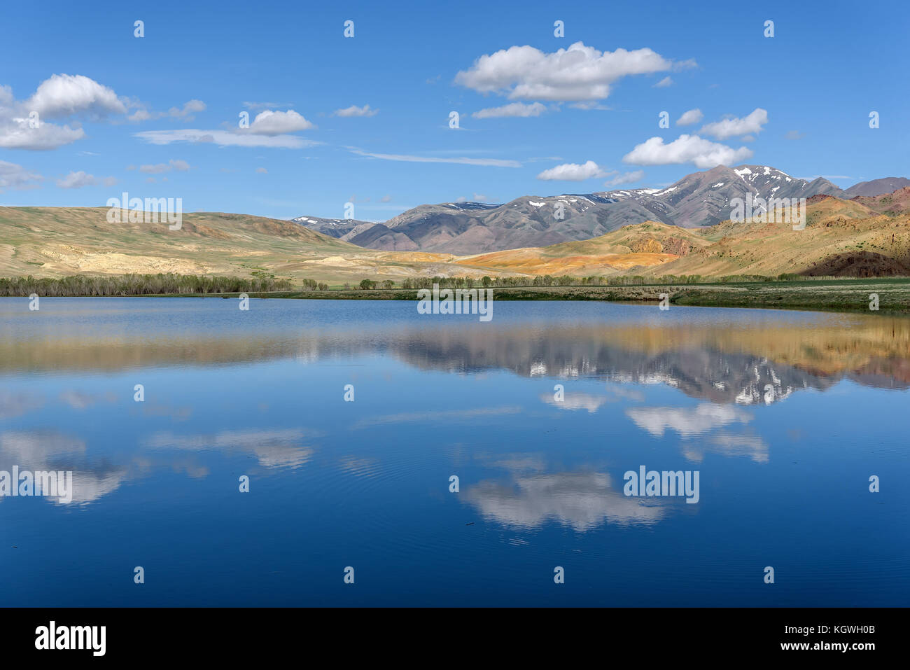 Bright beautiful summer landscape with a lake and reflection in it ...