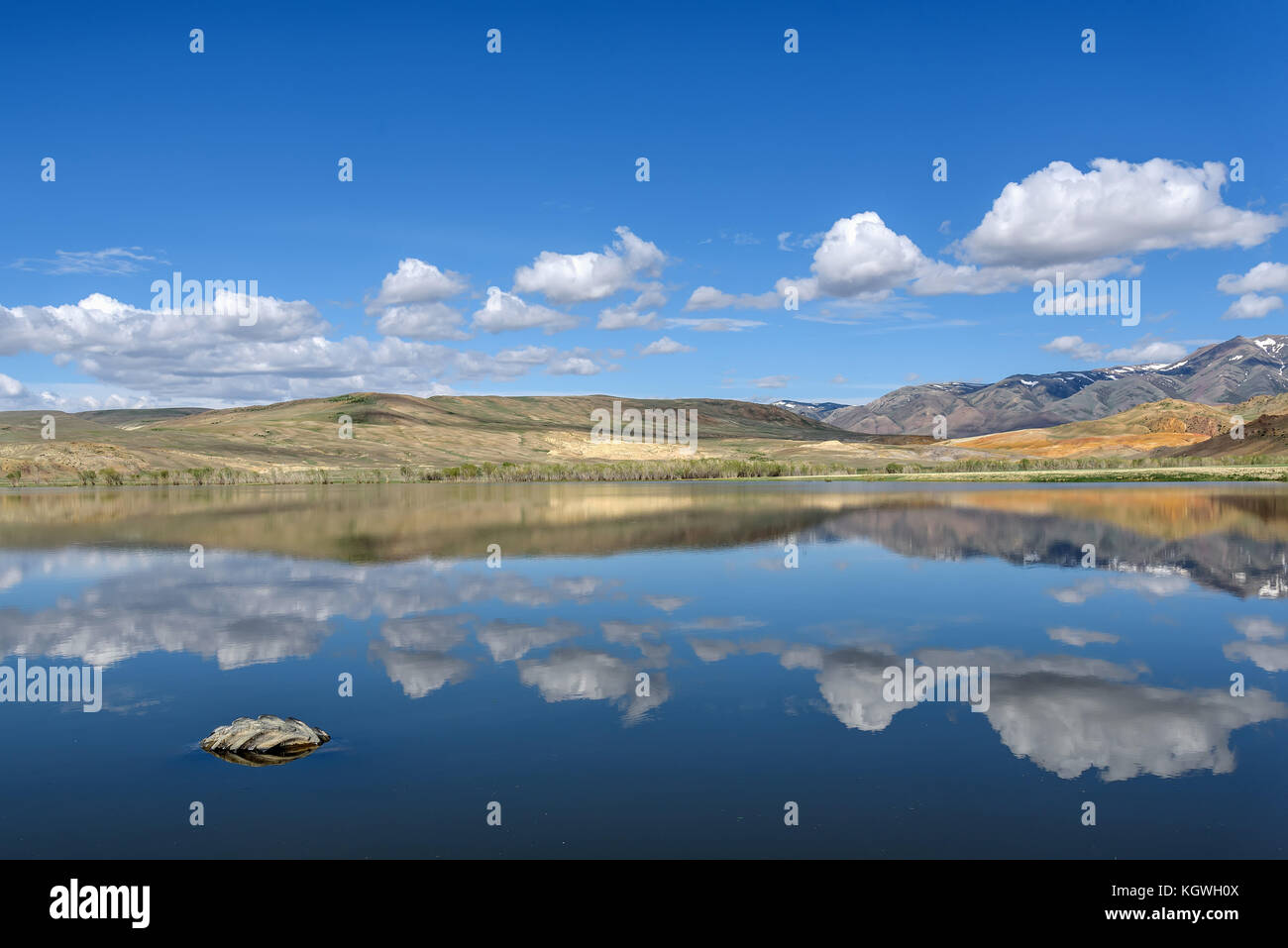 Bright beautiful summer landscape with a lake and reflection in it ...
