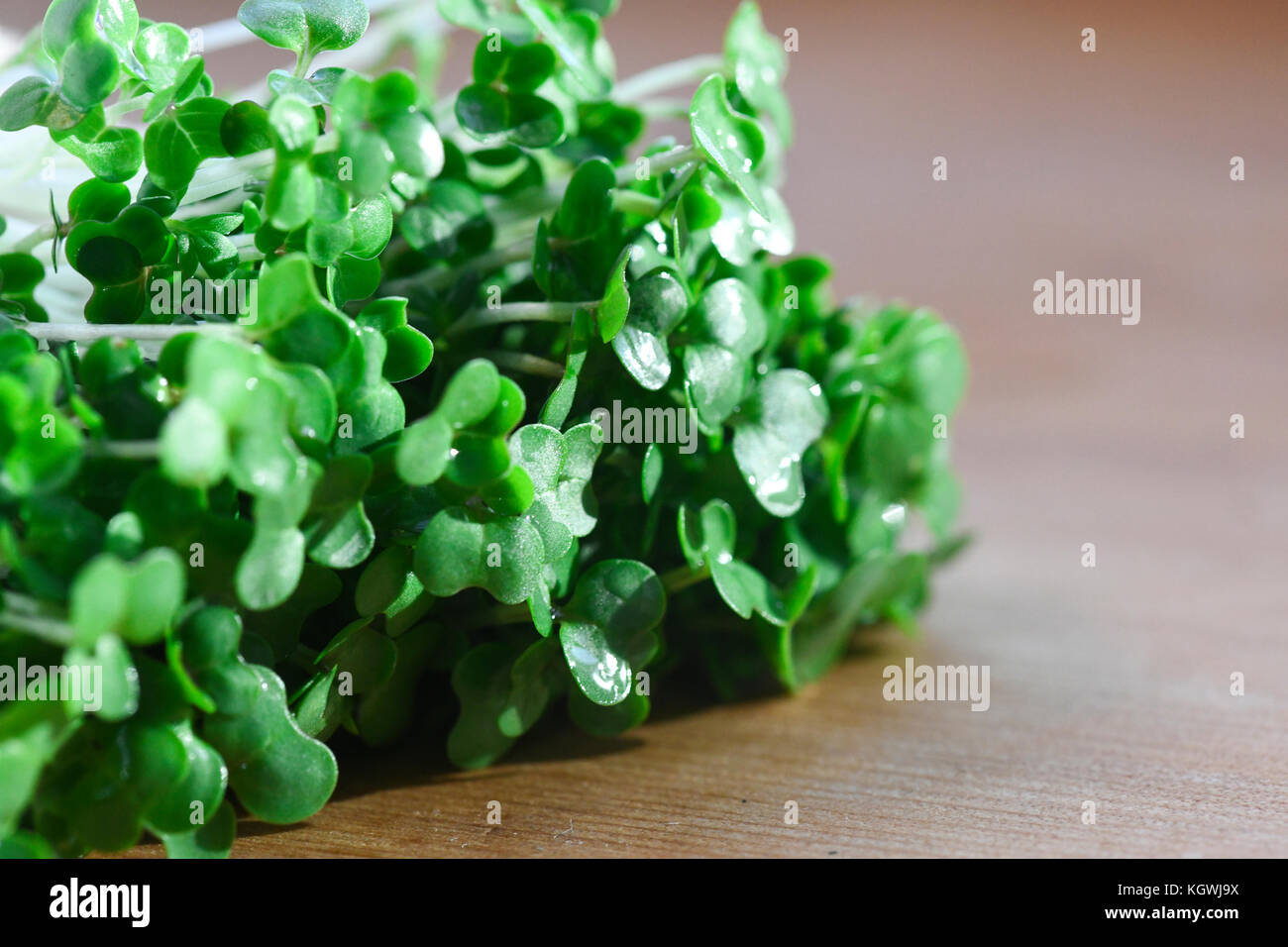 macro image of cut organic cress used for salads and plant based meals ...