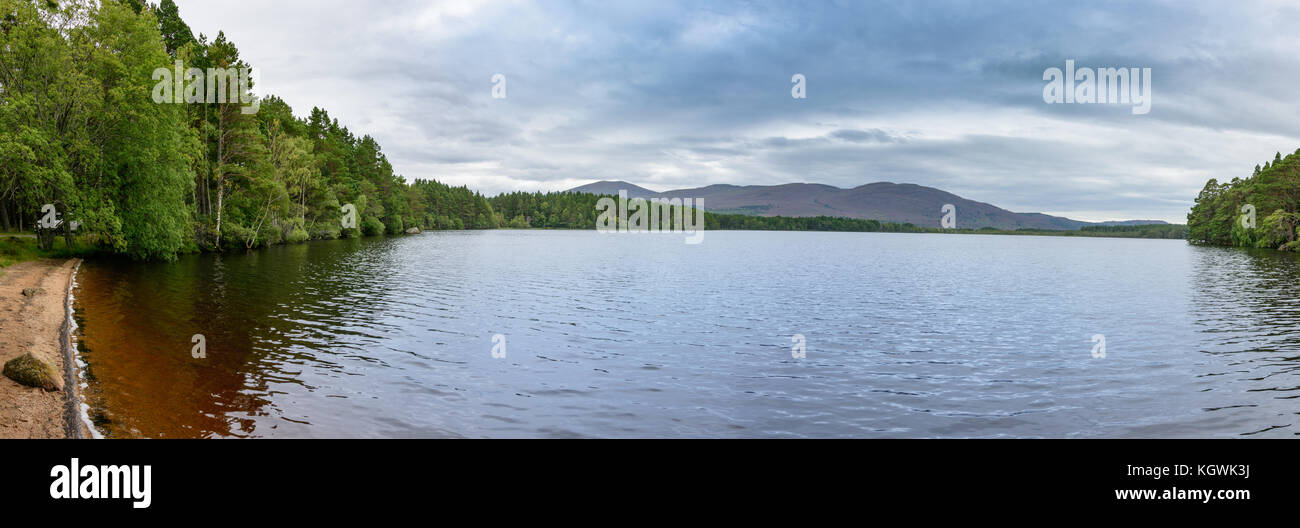 High resolution wide panorama of Loch Garten in the Cairngorms National ...