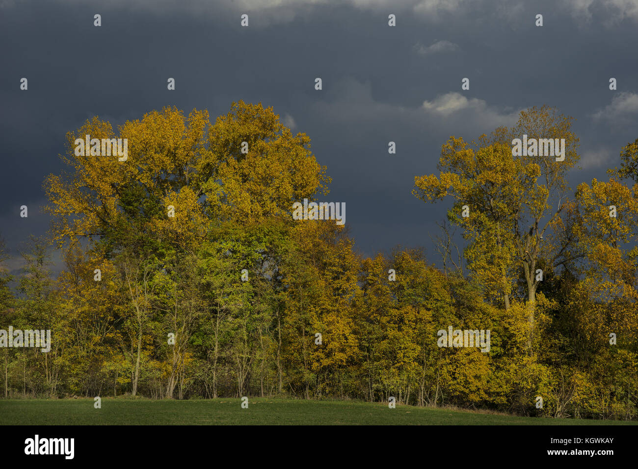 Stormy dark clouds over the trees and field. The fall scene Stock Photo ...