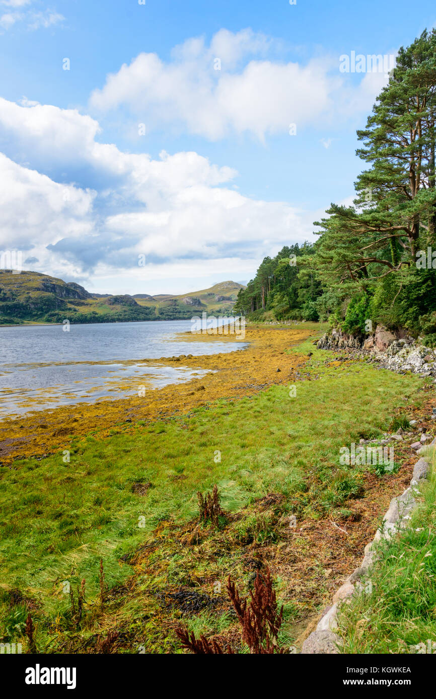 Inverwe gardens hi-res stock photography and images - Alamy