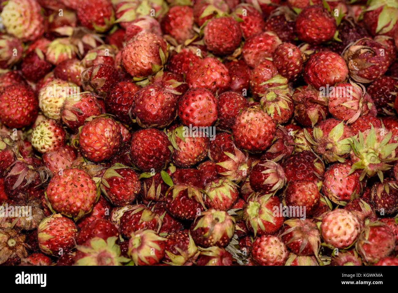 Bright natural fruit background with a bunch of ripe red berries of ...