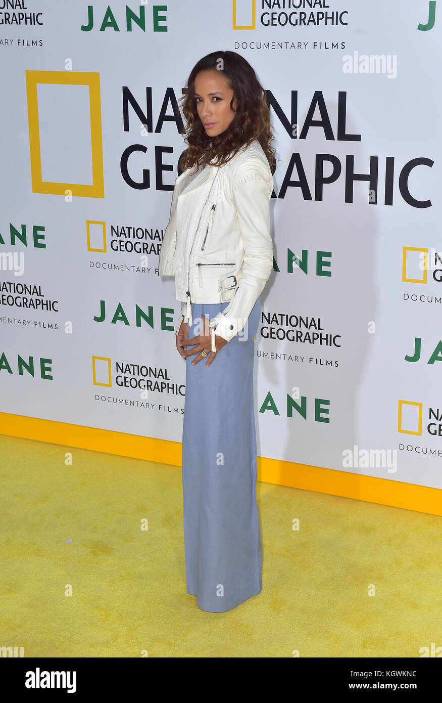 Premiere Of National Geographic Documentary Films' 'Jane' Featuring ...