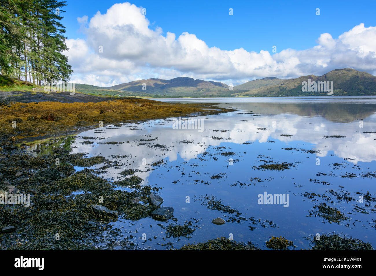 Beautiful Loch Creran, a saltwater loch full of aquatic life and algae ...