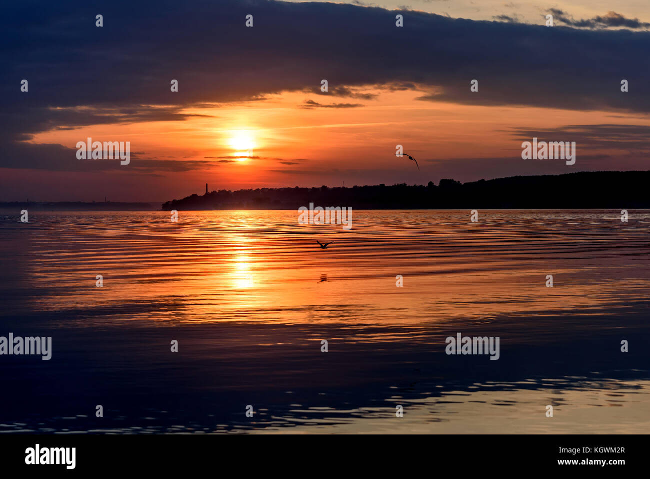 Beautiful bright red and orange sunset over the river with seagulls ...