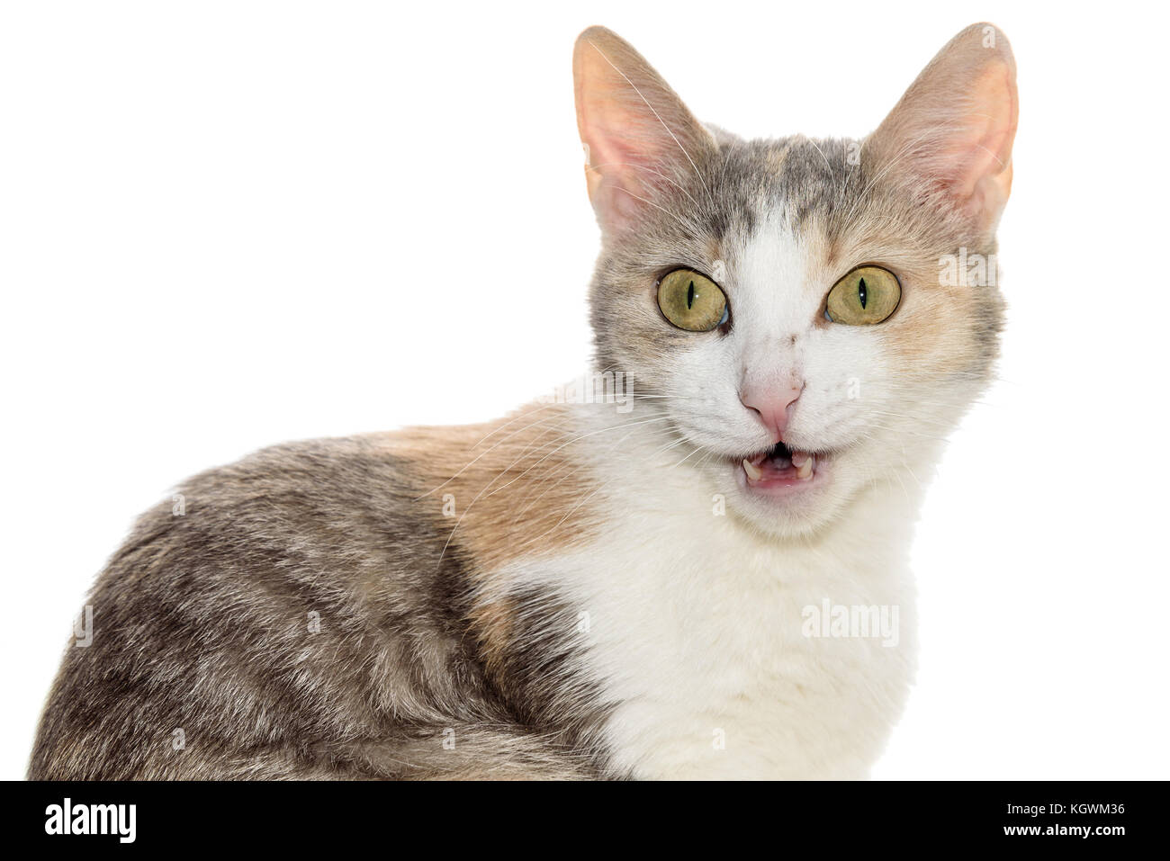Unhappy funny hi-res stock photography and images - Alamy