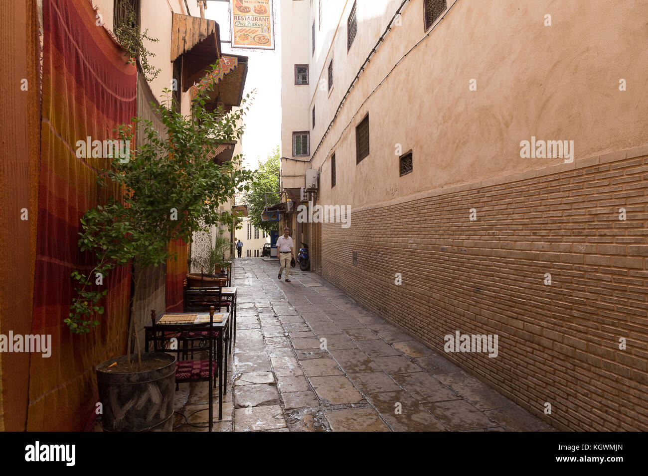 Wattasid dynasty hi-res stock photography and images - Alamy