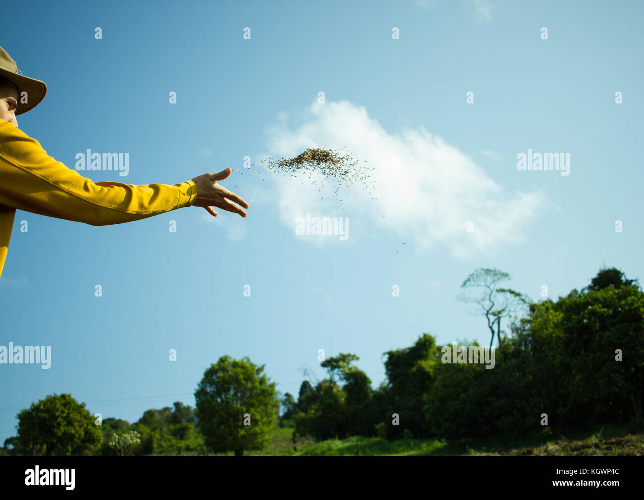 Farmer throwing seeds hi-res stock photography and images - Alamy