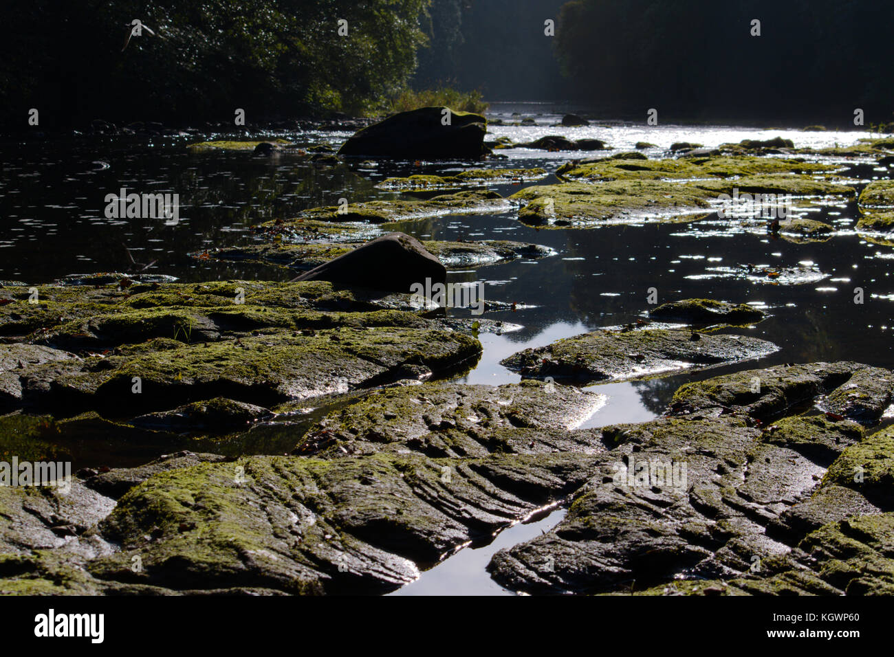 Failford hi-res stock photography and images - Alamy