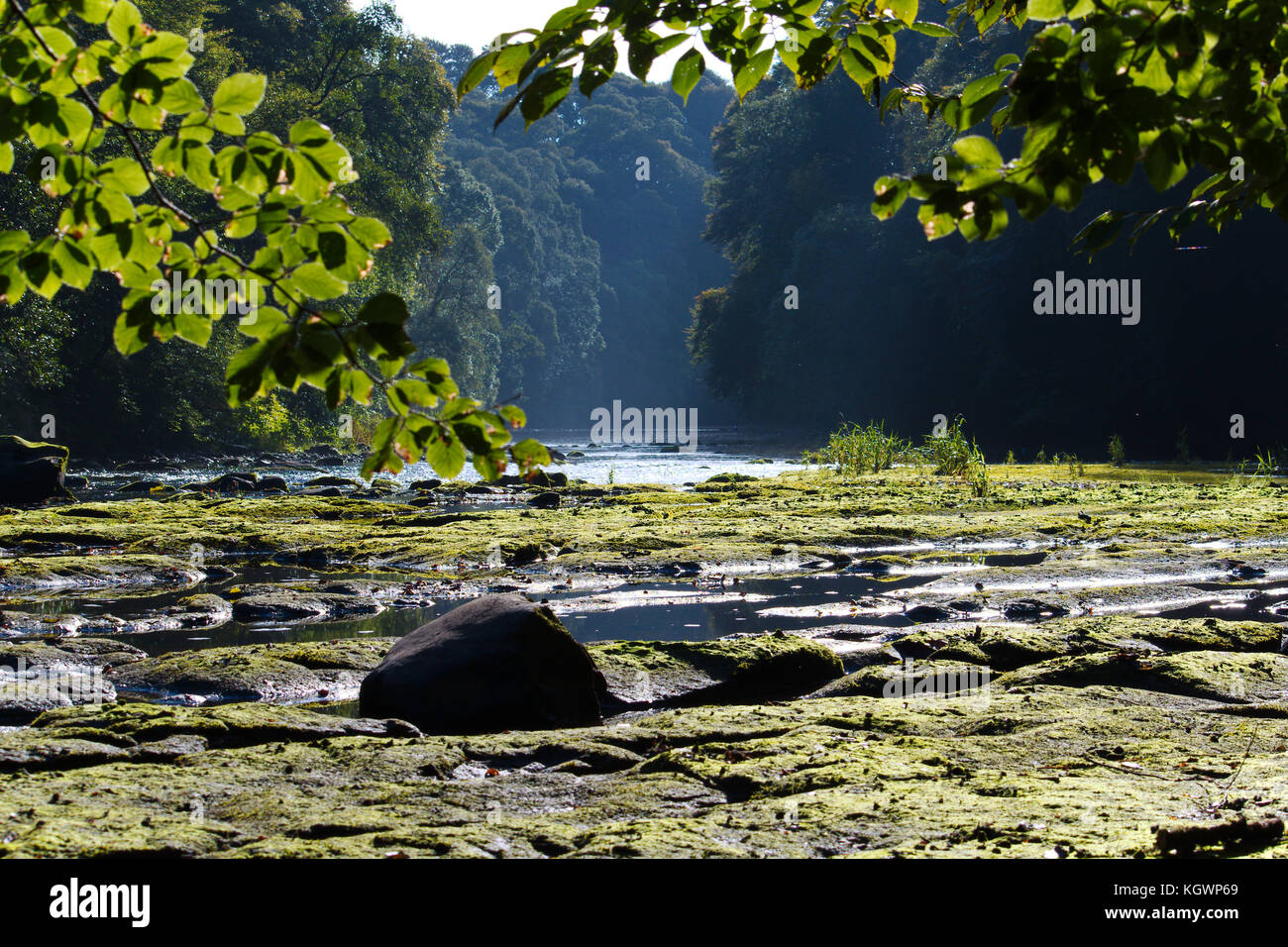 Failford High Resolution Stock Photography and Images - Alamy
