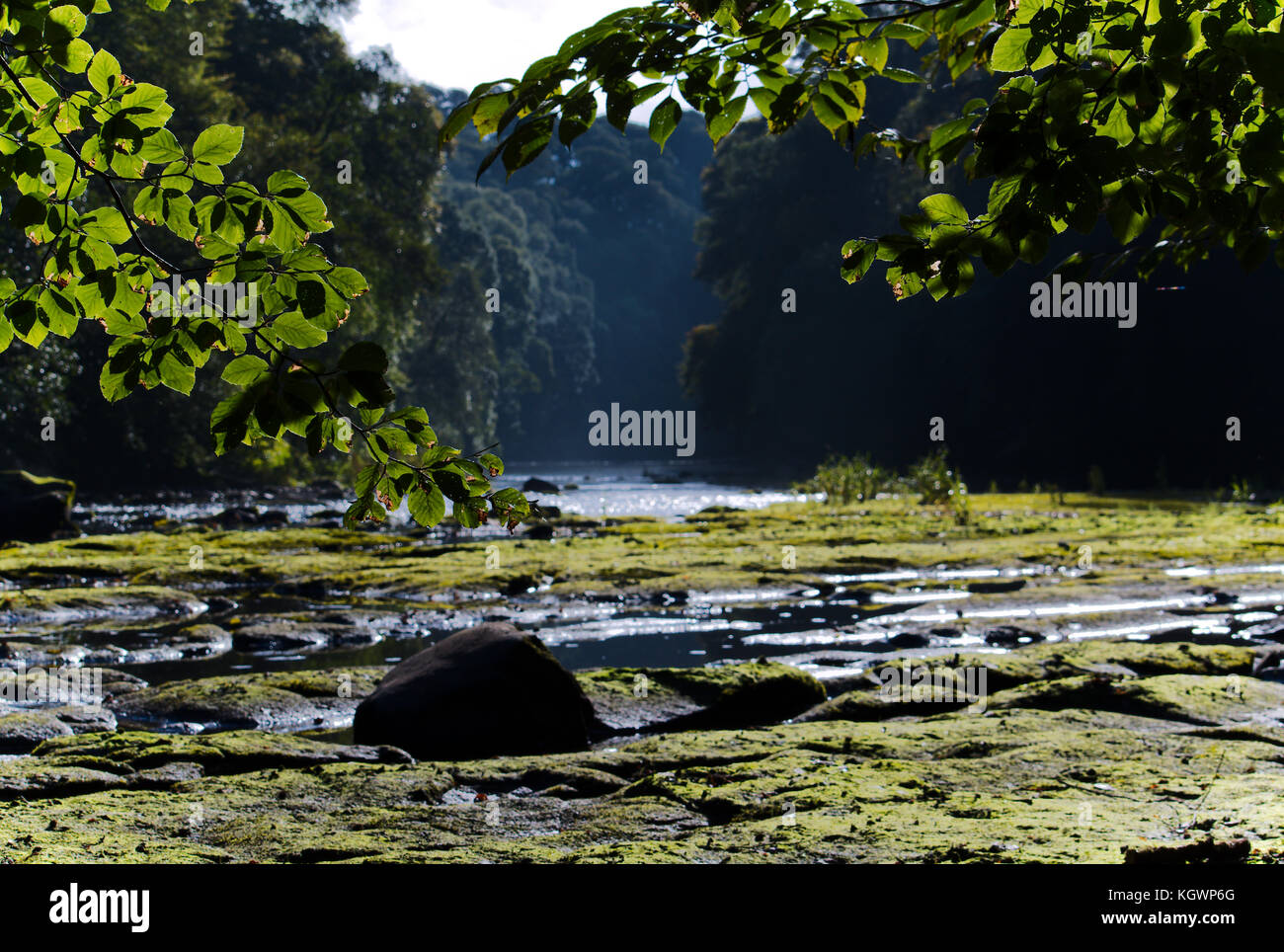 Failford hi-res stock photography and images - Alamy