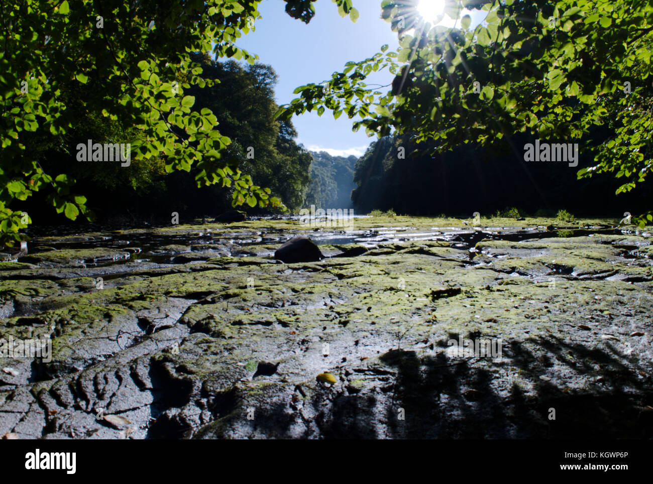 Sandstone riverbed , River Ayr, Peden's Cove, Failford, South Ayrshire ...