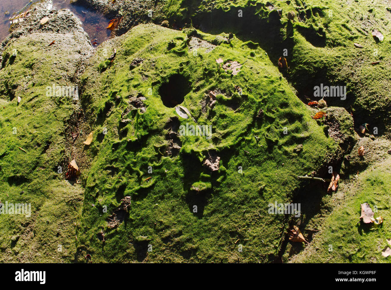 Failford hi-res stock photography and images - Alamy