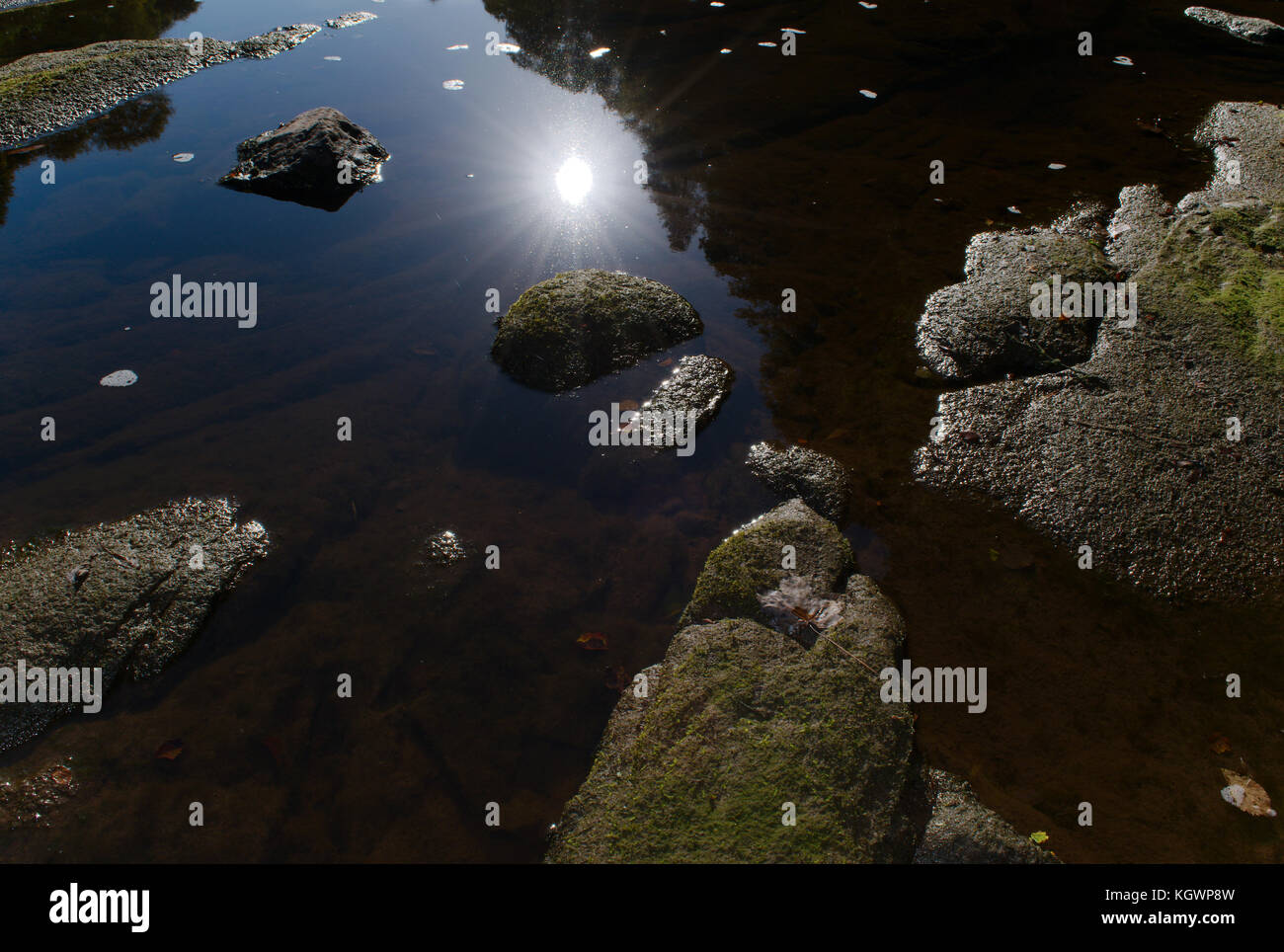 Sandstone riverbed , River Ayr, Peden's Cove, Failford, South Ayrshire ...