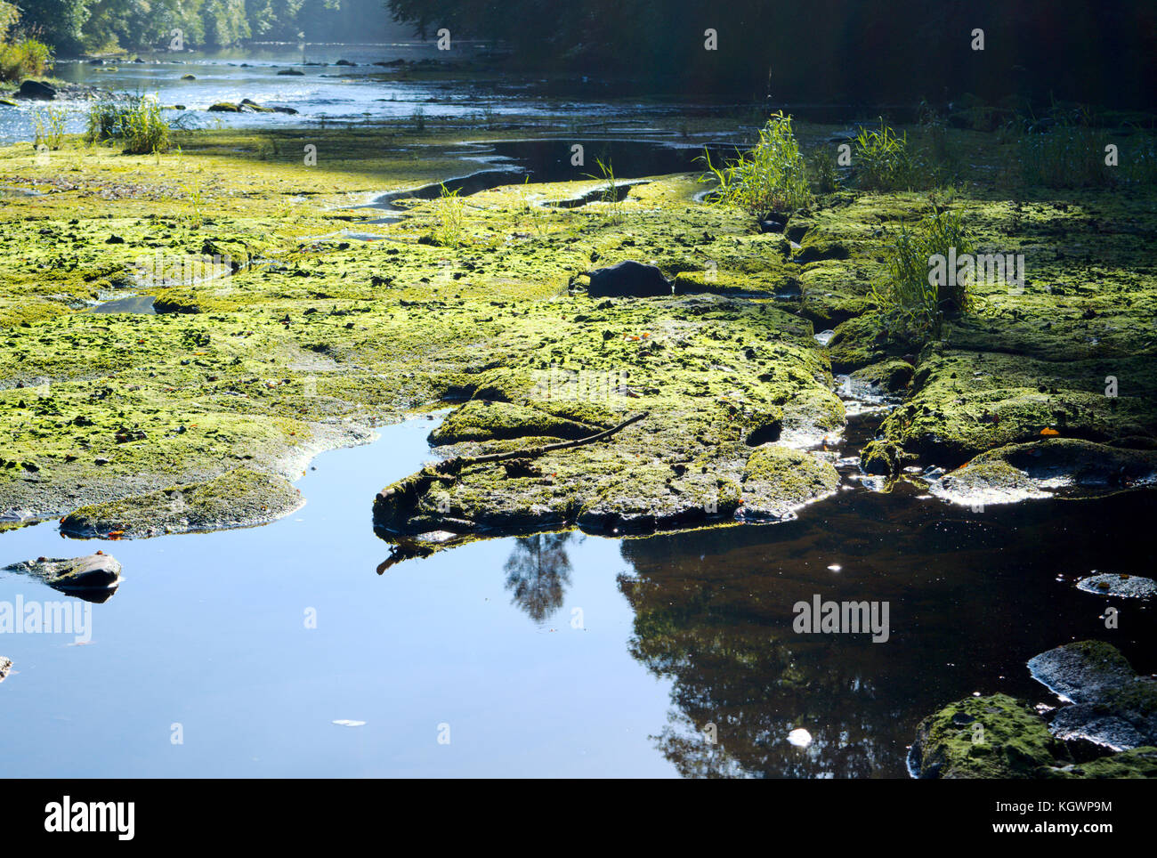 Sandstone riverbed , River Ayr, Peden's Cove, Failford, South Ayrshire ...