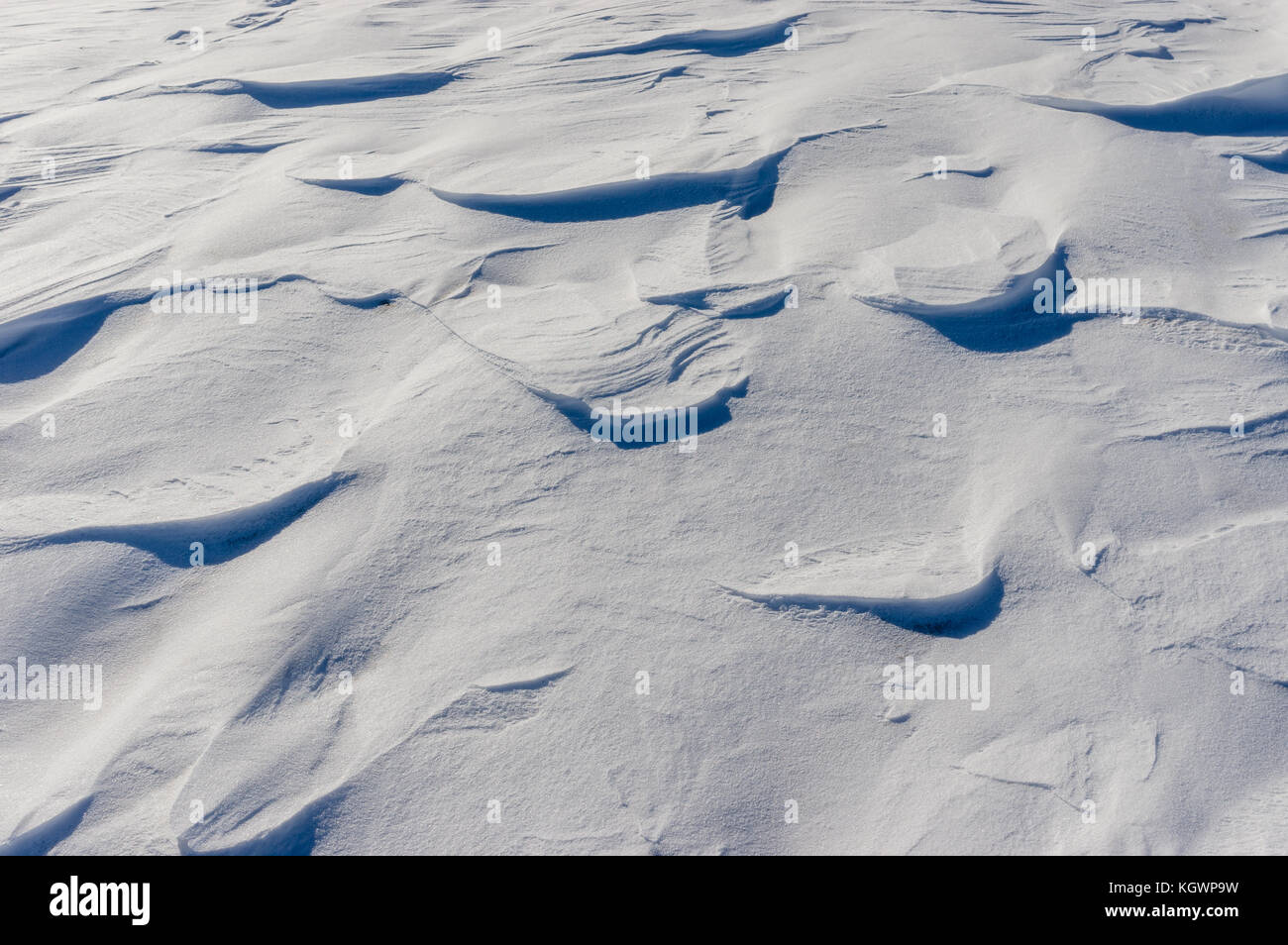 Shapes of fresh fallen snow on a sandy soil Stock Photo - Alamy
