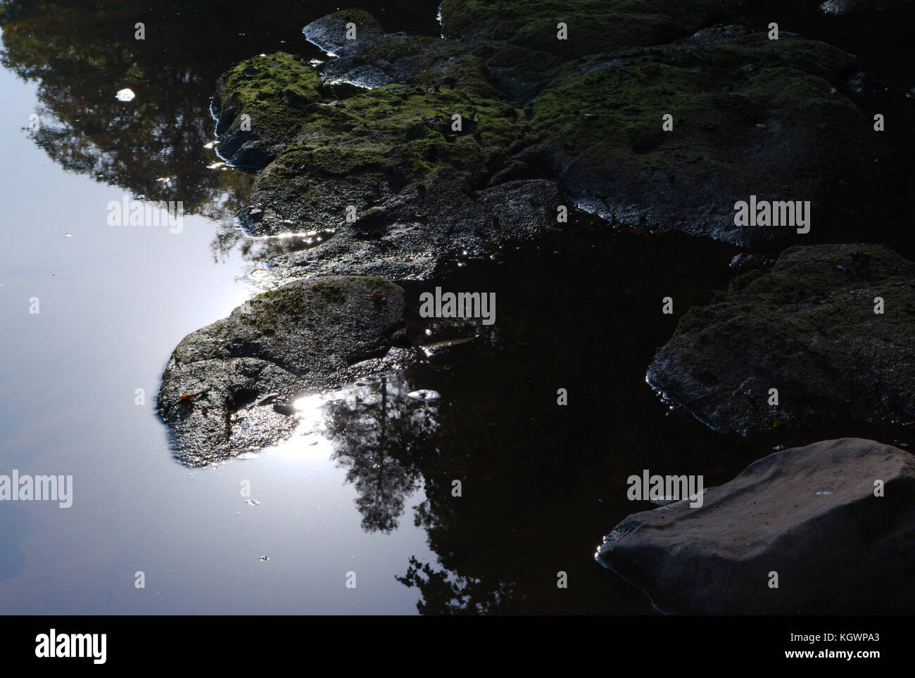 Sandstone riverbed , River Ayr, Peden's Cove, Failford, South Ayrshire ...