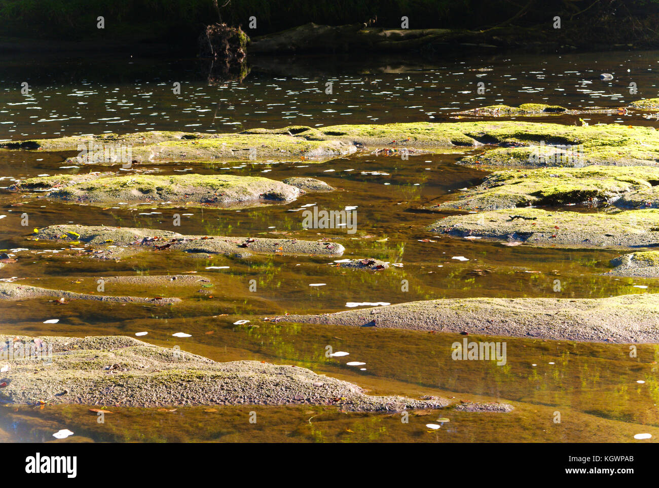 Sandstone riverbed , River Ayr, Peden's Cove, Failford, South Ayrshire ...