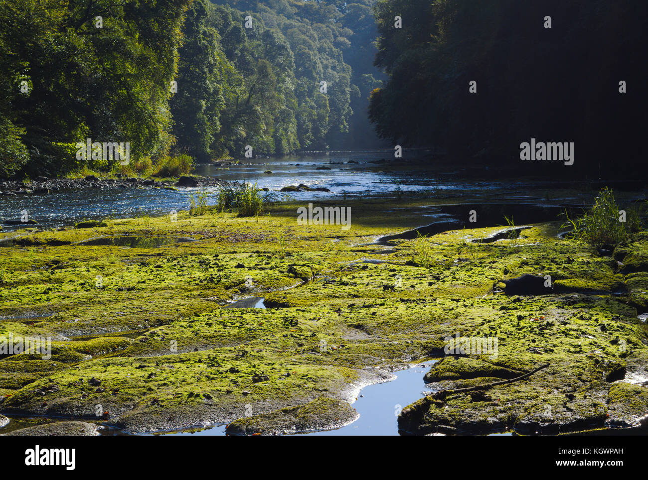 Failford hi-res stock photography and images - Alamy