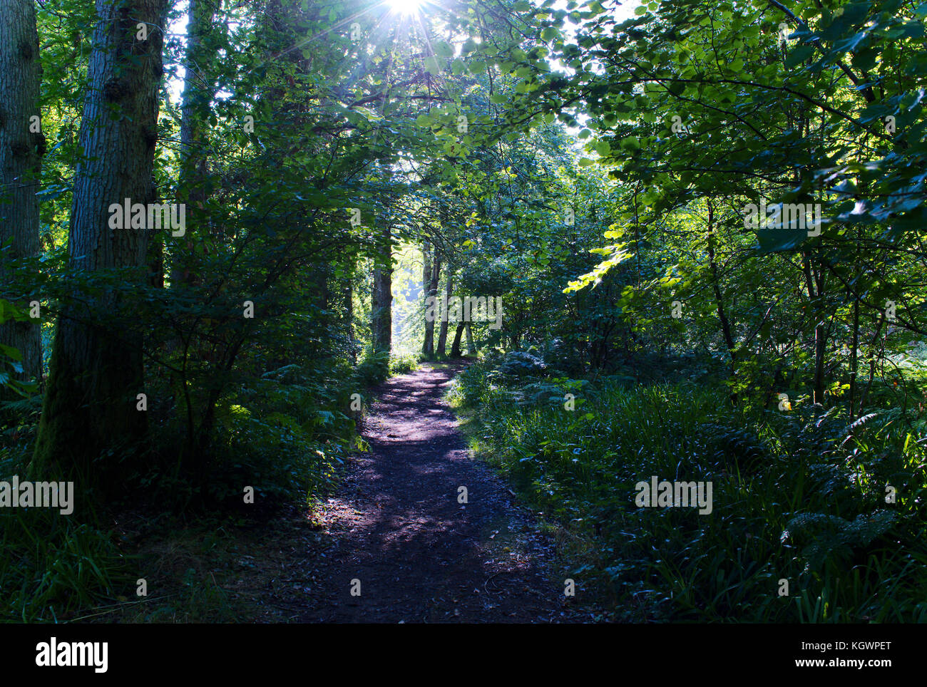 Failford hi-res stock photography and images - Alamy
