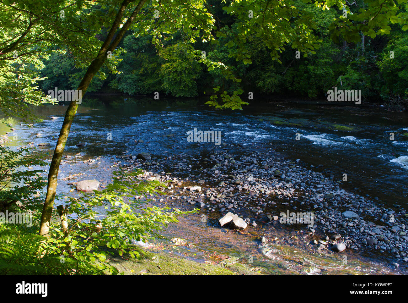 River ayr failford hi-res stock photography and images - Alamy