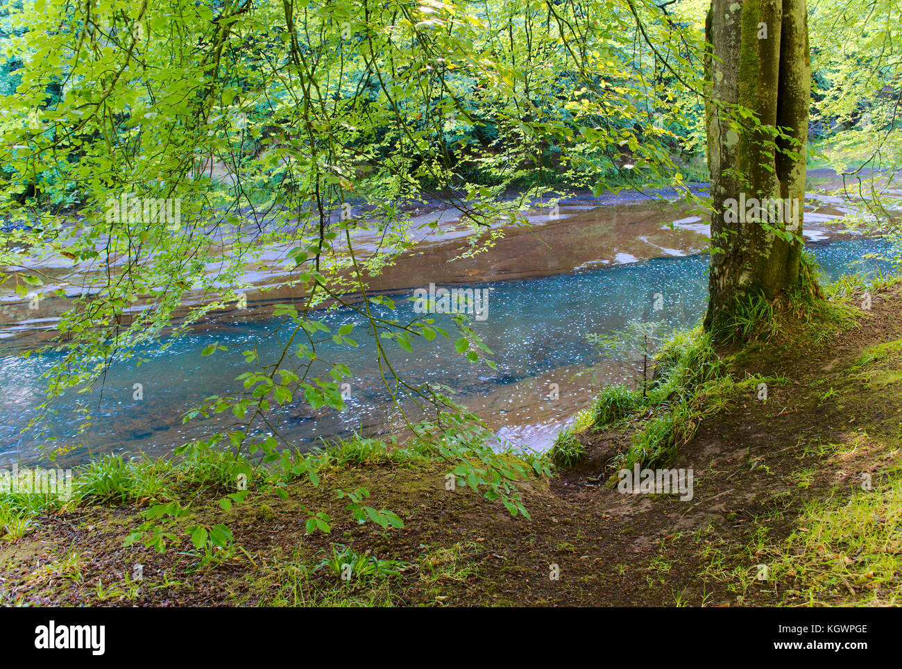 Failford High Resolution Stock Photography and Images - Alamy