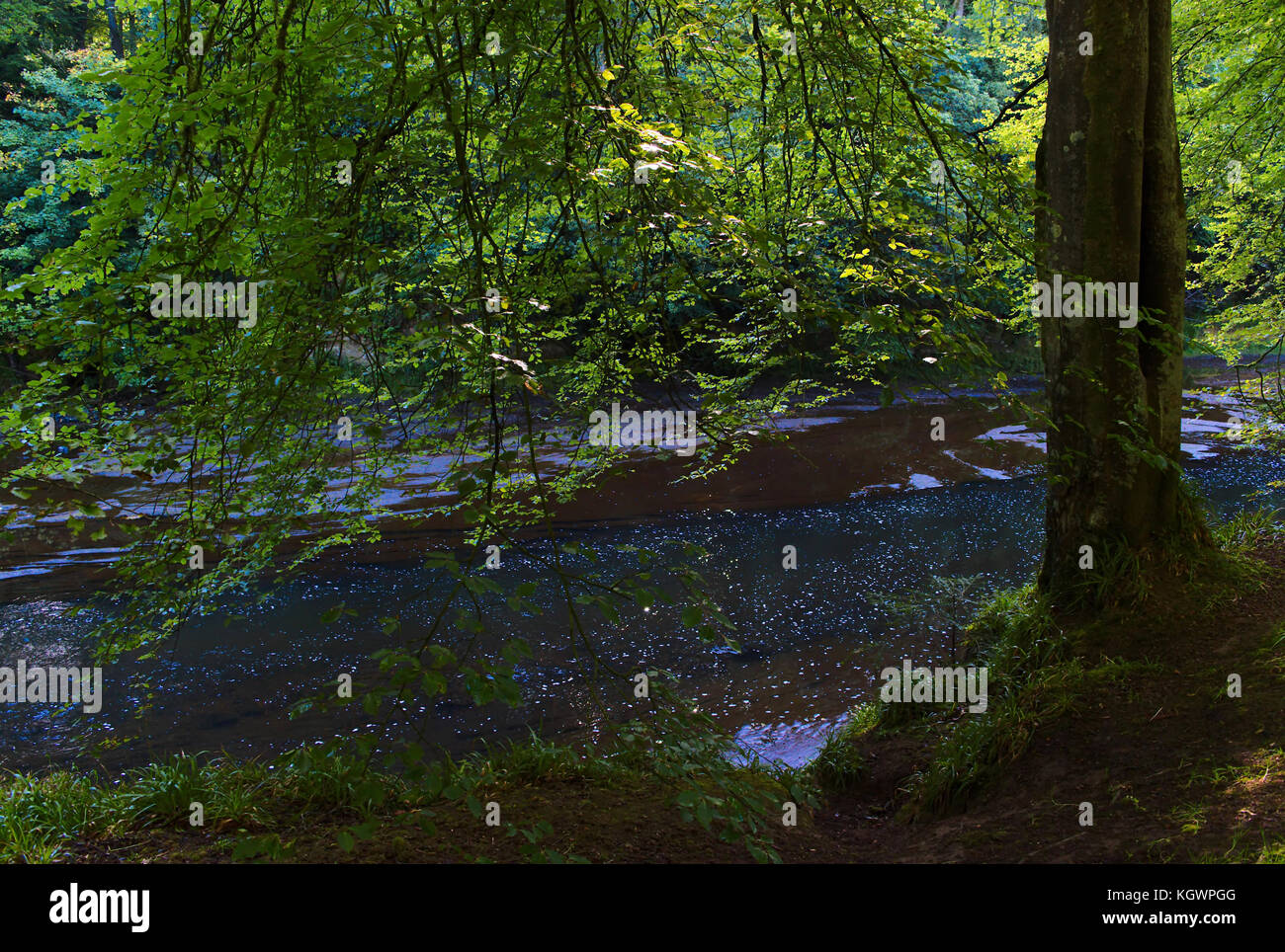 Failford High Resolution Stock Photography and Images - Alamy