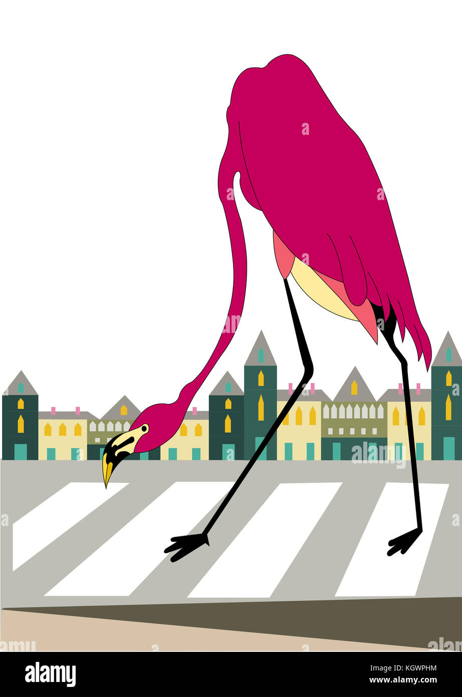 flamingo crossing the street Stock Photo - Alamy