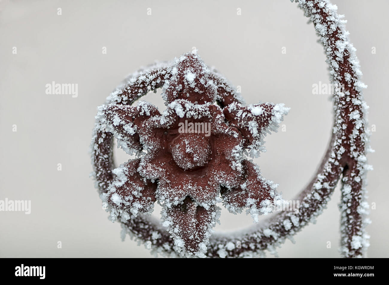 Close-up of frost particles on a metal fence. Winter scene Stock Photo ...