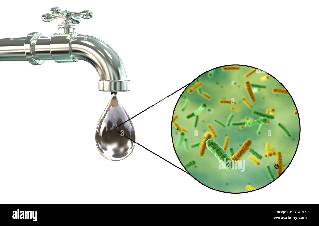 Water Microbes