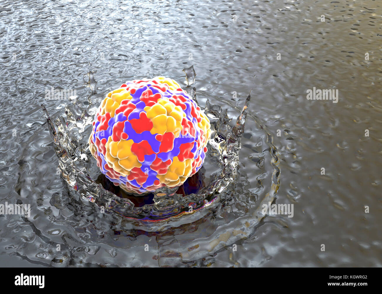 Water-borne viruses. Conceptual illustration showing Hepatitis A virus ...