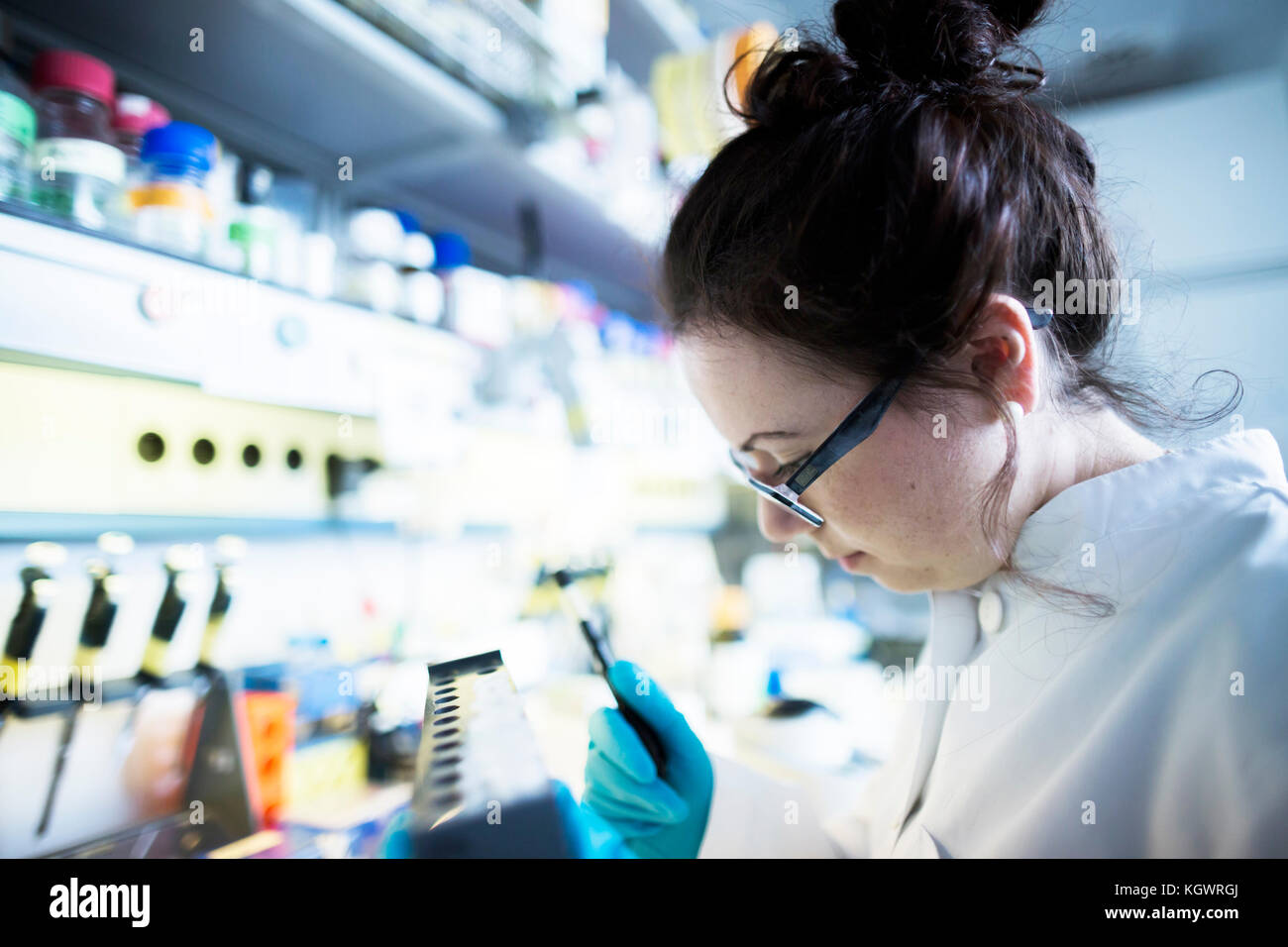 Female scientist working in a laboratory Stock Photo - Alamy