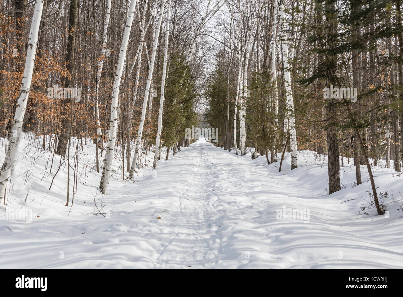 Canadian winter scene Stock Photo - Alamy