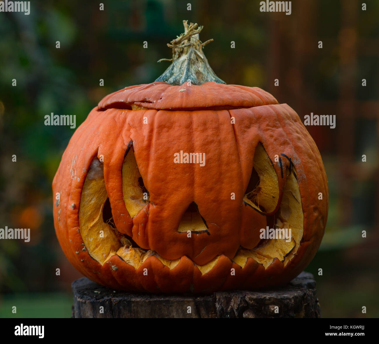 Rotten pumpkin hi-res stock photography and images - Alamy