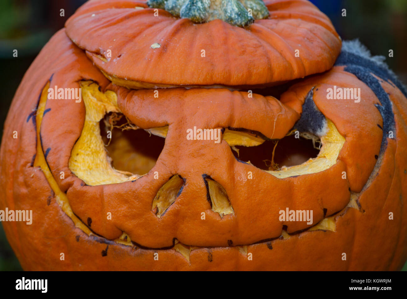 Decaying pumpkin hi-res stock photography and images - Alamy