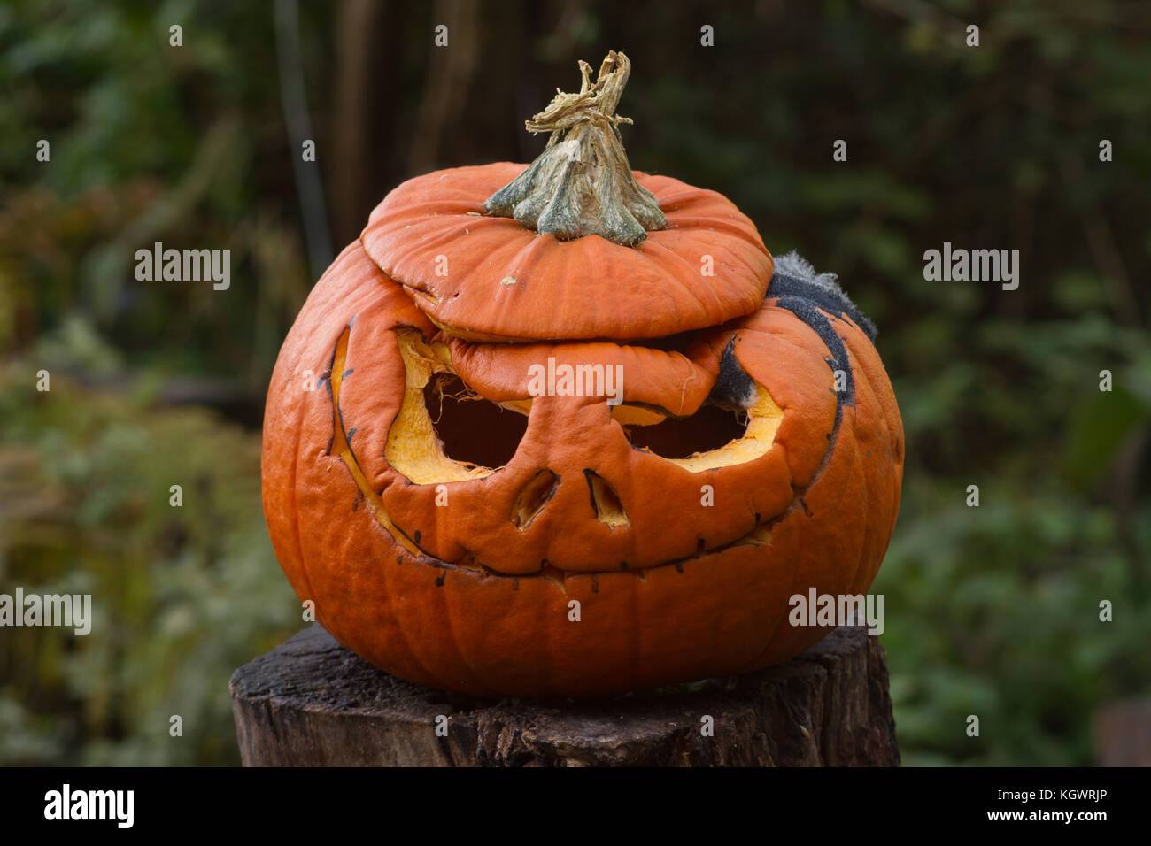 Decaying carved pumpkin several days after Halloween. UK Stock Photo ...