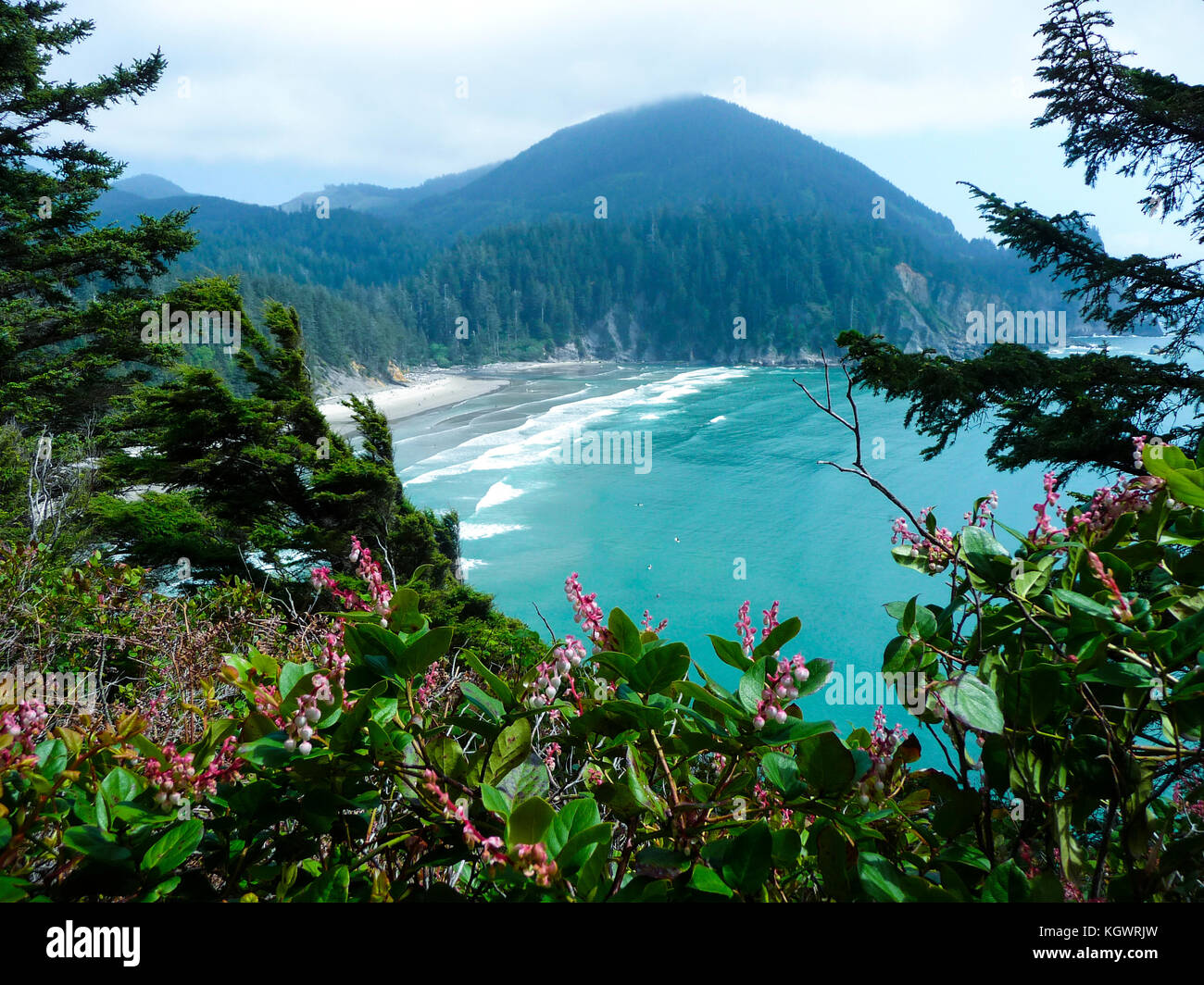 Oswald West from Cape Falcon. Surfers in the ocean Stock Photo - Alamy