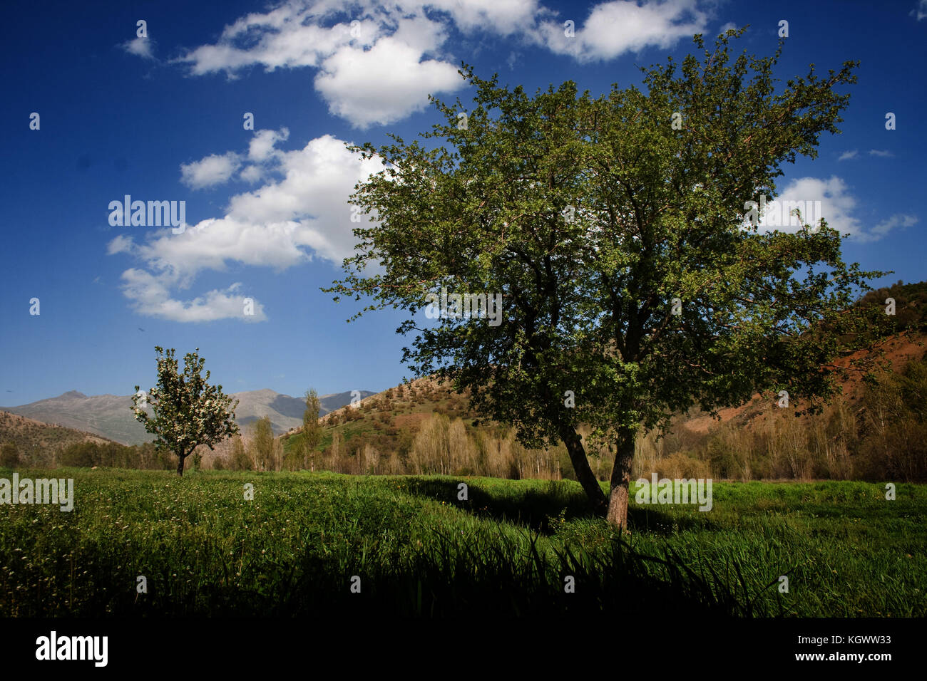 Kurdistan nature, landscape Stock Photo - Alamy