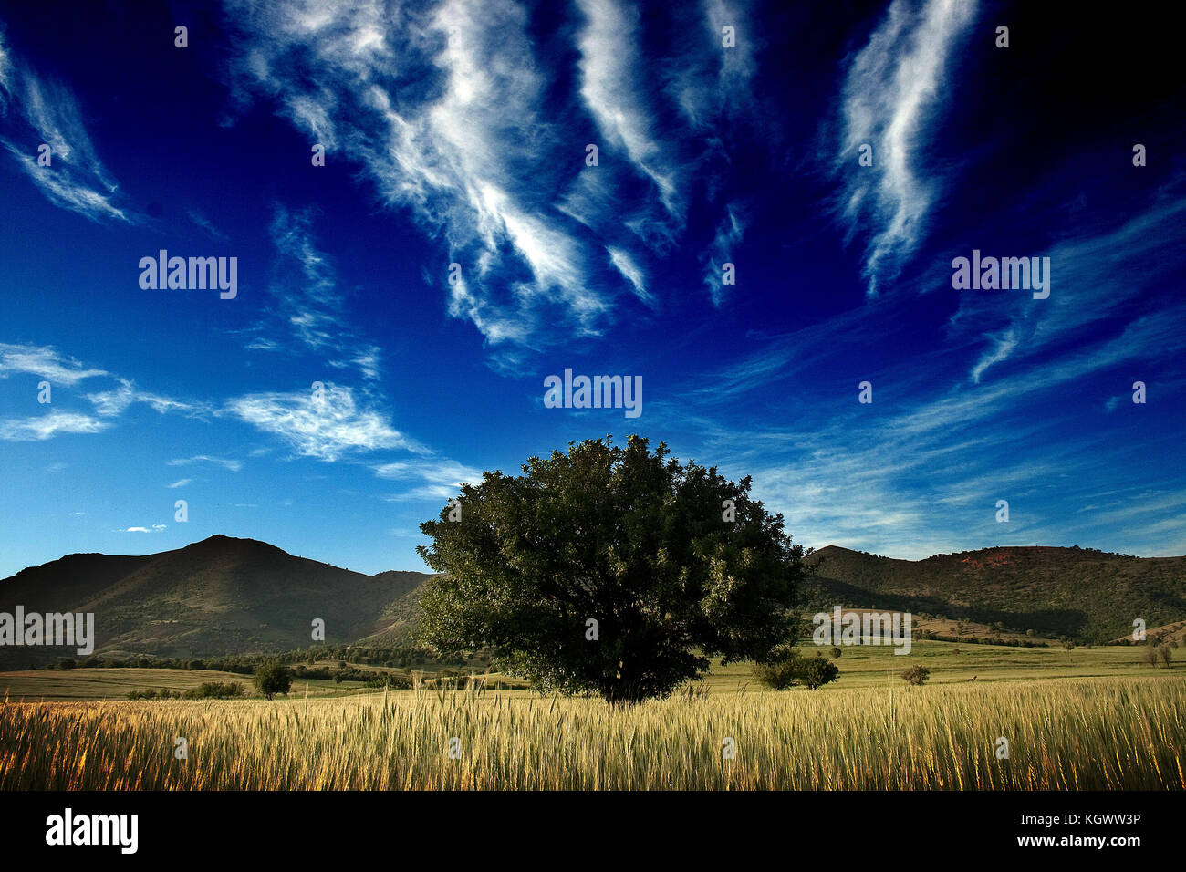 Kurdistan nature, landscape Stock Photo - Alamy