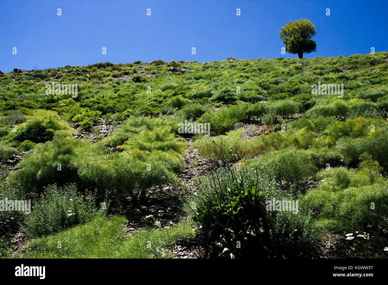 Kurdistan nature, landscape Stock Photo - Alamy